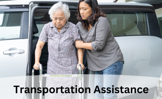 Our Services Archives - A Homemade Plan